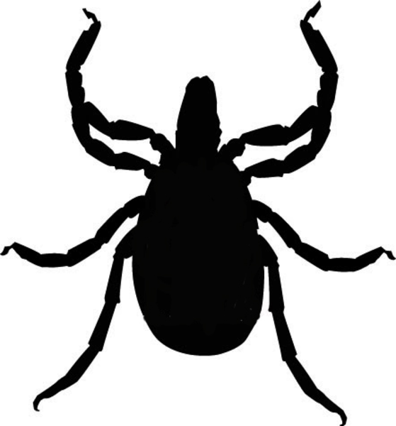 Tick Talk: Understand Your Risk Tick Talk: Understand Your Risk