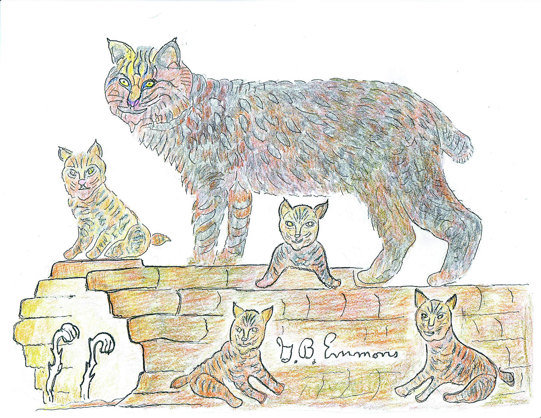 Say Hello To The Urban Bobcat